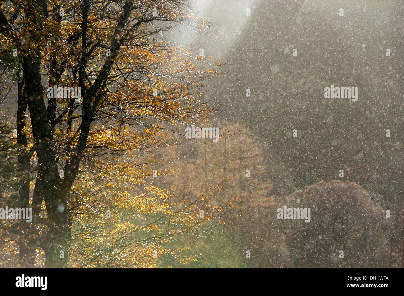 Strong evening hi-res stock photography and images - Alamy