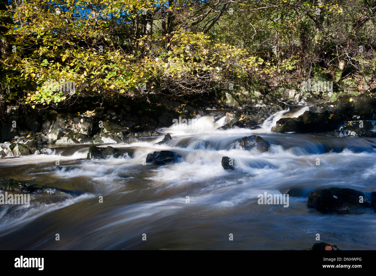 River beck hi-res stock photography and images - Alamy