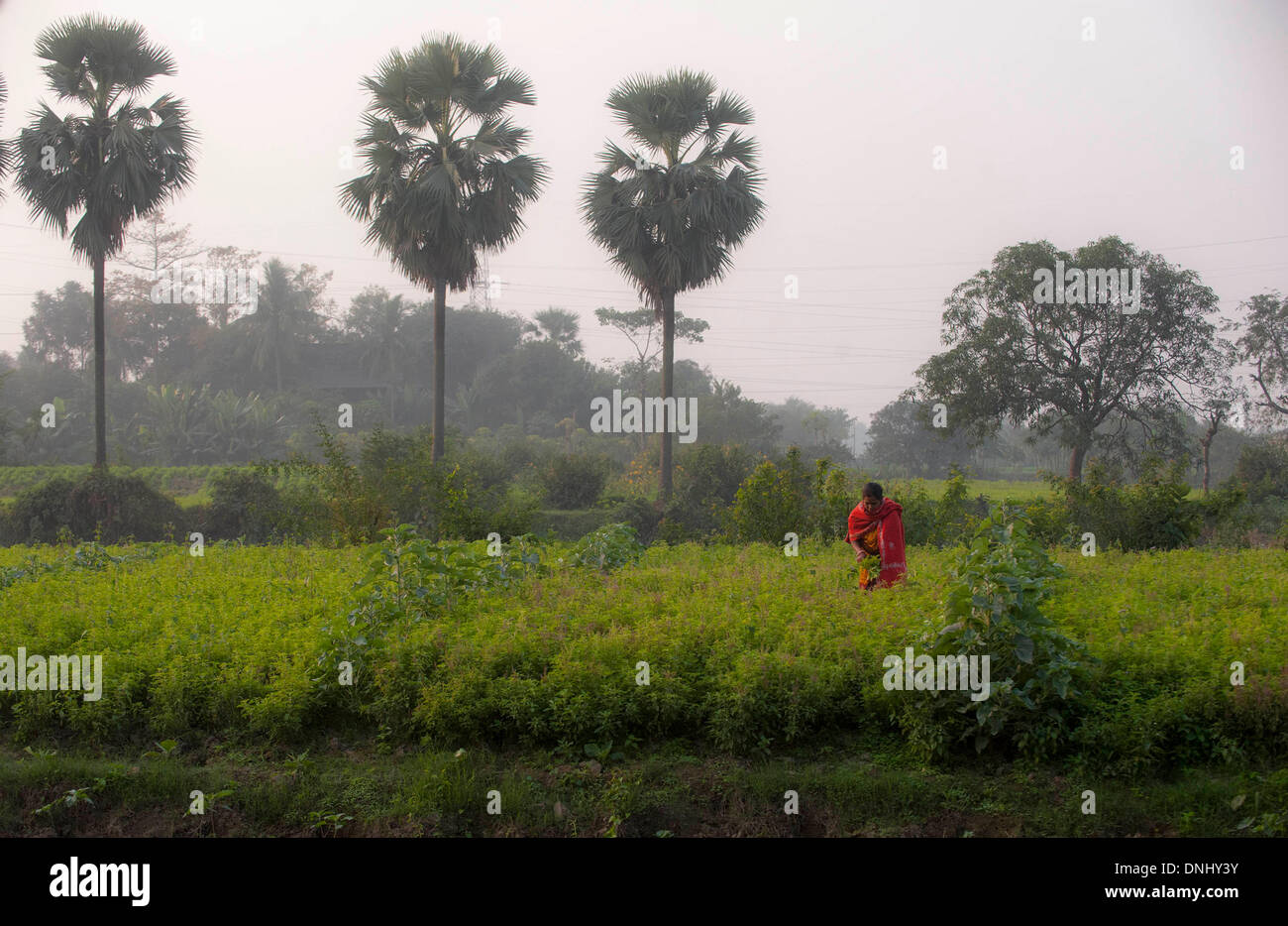 Calcutta capital eastern indian state hi-res stock photography and ...