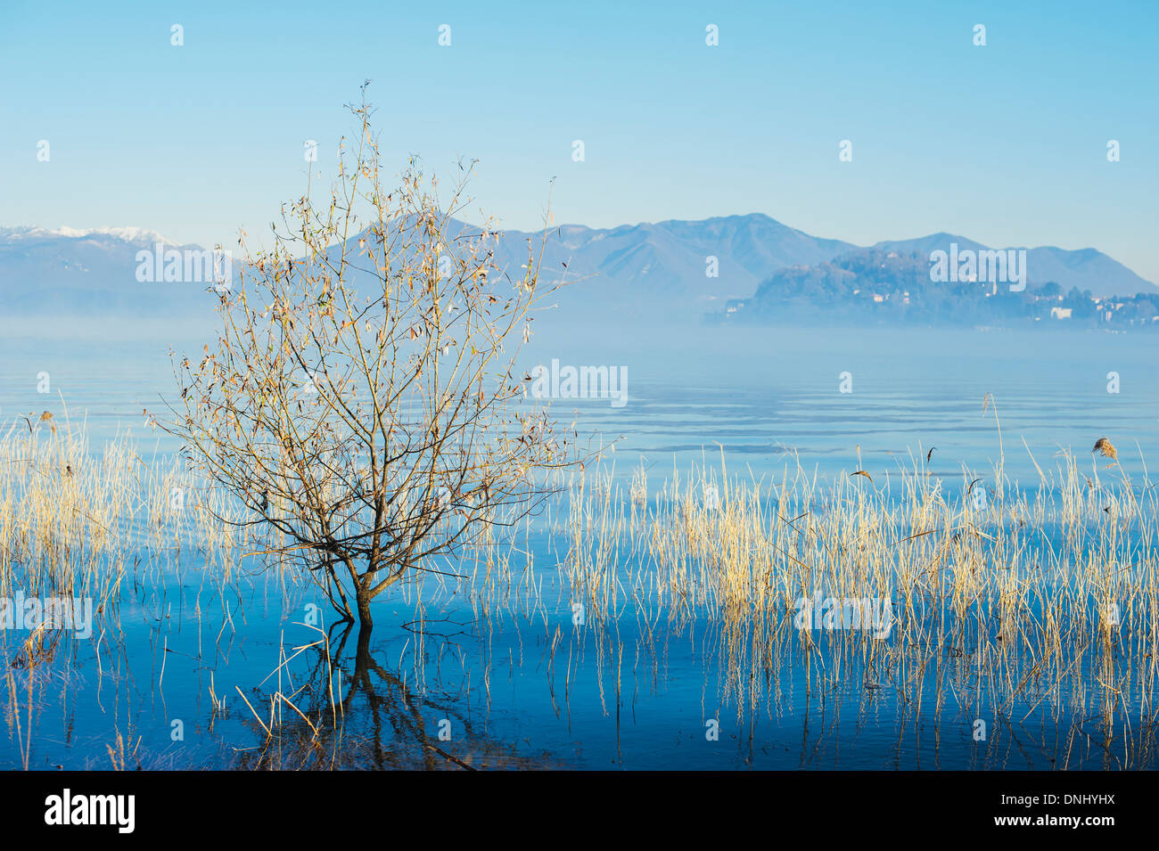 Ranco italy hi-res stock photography and images - Alamy