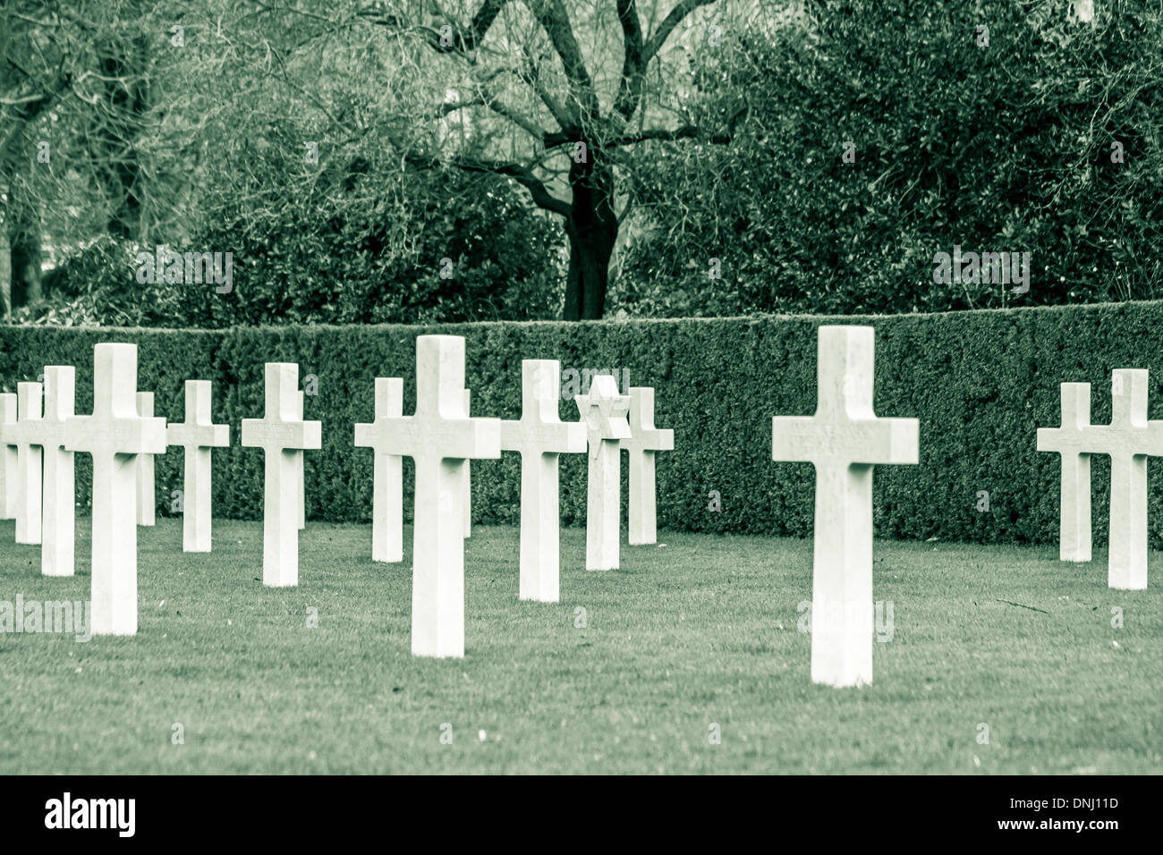 American cemetery Flanders field Belgium Waregem Stock Photo - Alamy