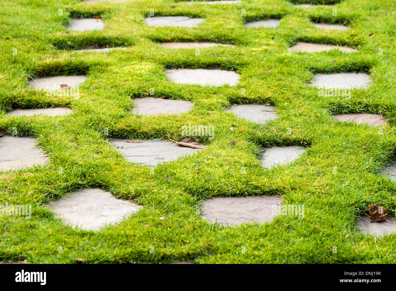 Stone path in the green grass park garden Stock Photo - Alamy