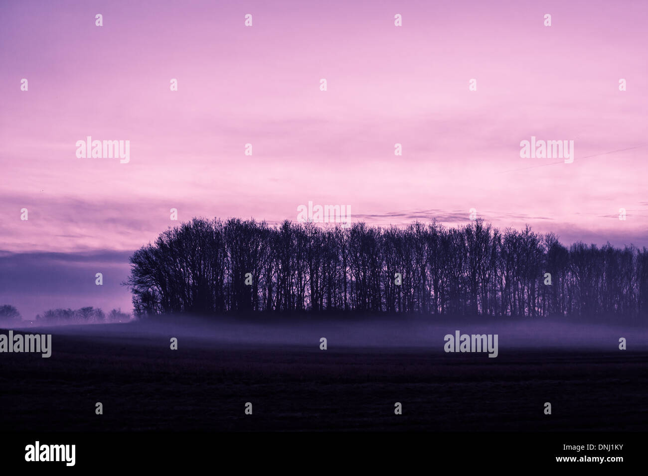 Magical morning mist foliage on a beautiful countryside scenery ...