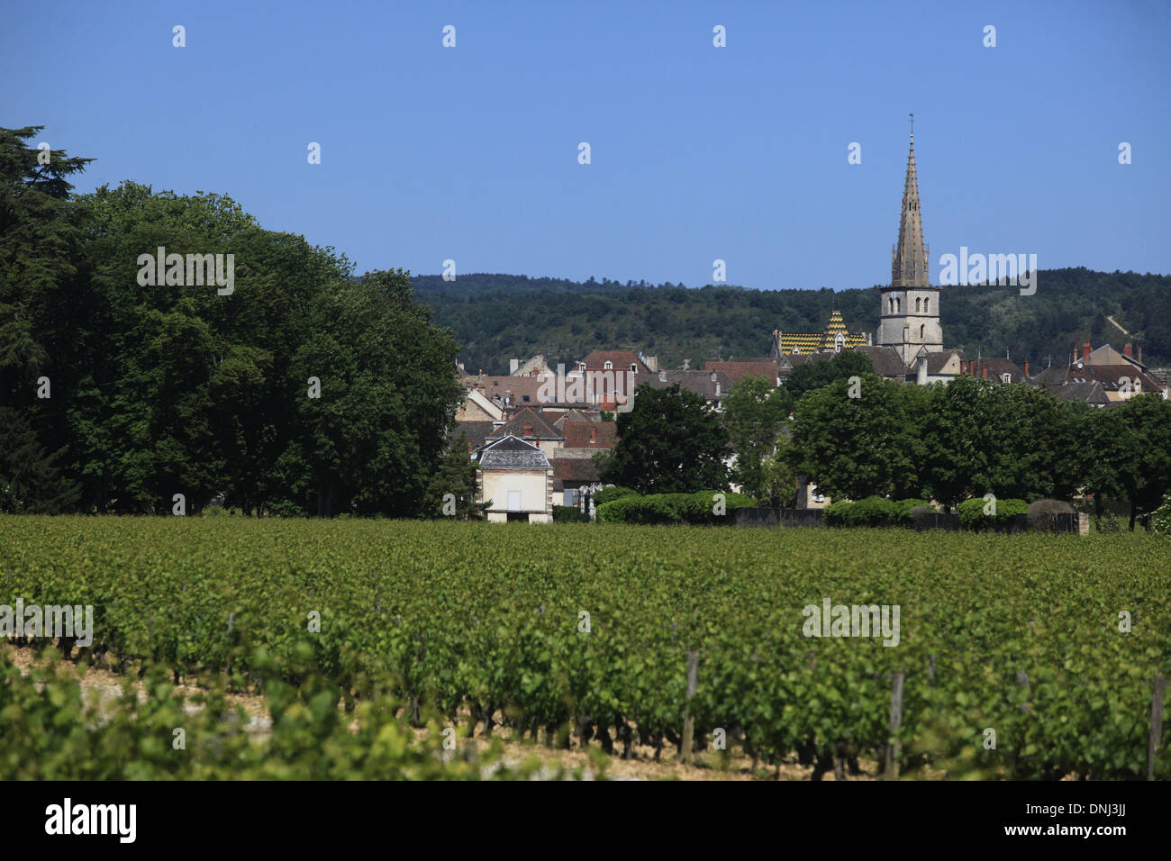 CHURCH IN THE VILLAGE OF MEURSAULT, COTE-D'OR (21), BOURGOGNE, FRANCE ...