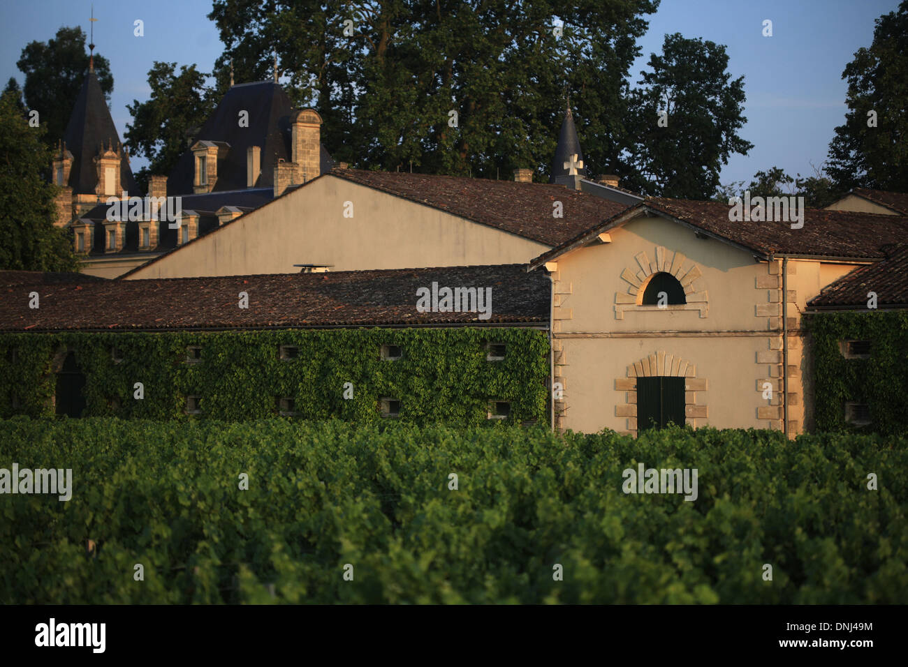 CHATEAU CANTEMERLE, FIFTH CRU CLASSE OF HAUT MEDOC, (33) GIRONDE ...