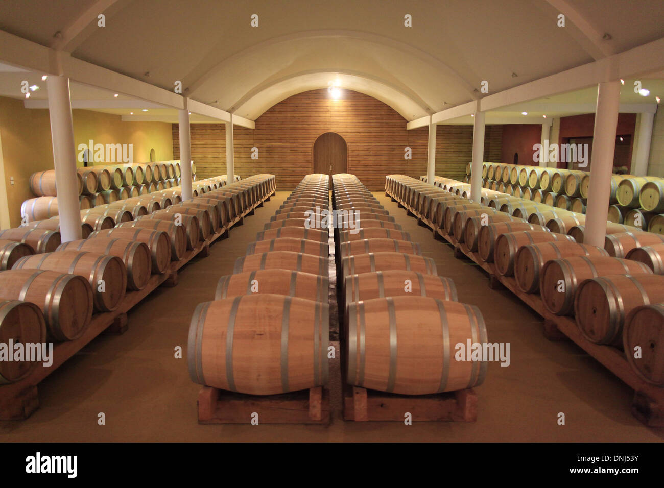 Illustration of storage cellar and wine cellar hi-res stock photography ...