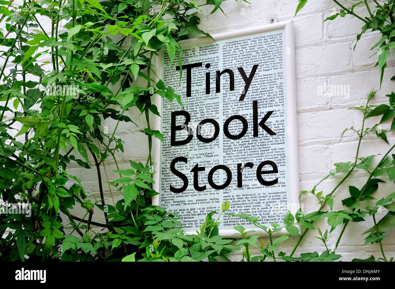 Small bookshop hi-res stock photography and images - Alamy