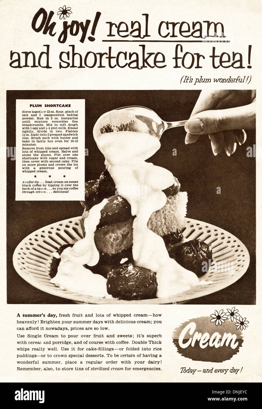 1950s magazine advertisement advertising REAL CREAM with recipe Stock ...