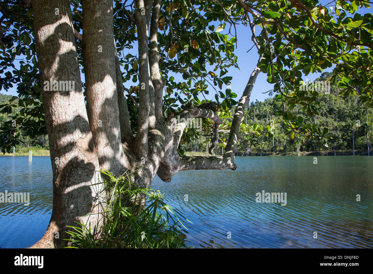 Ecological zone hi-res stock photography and images - Alamy