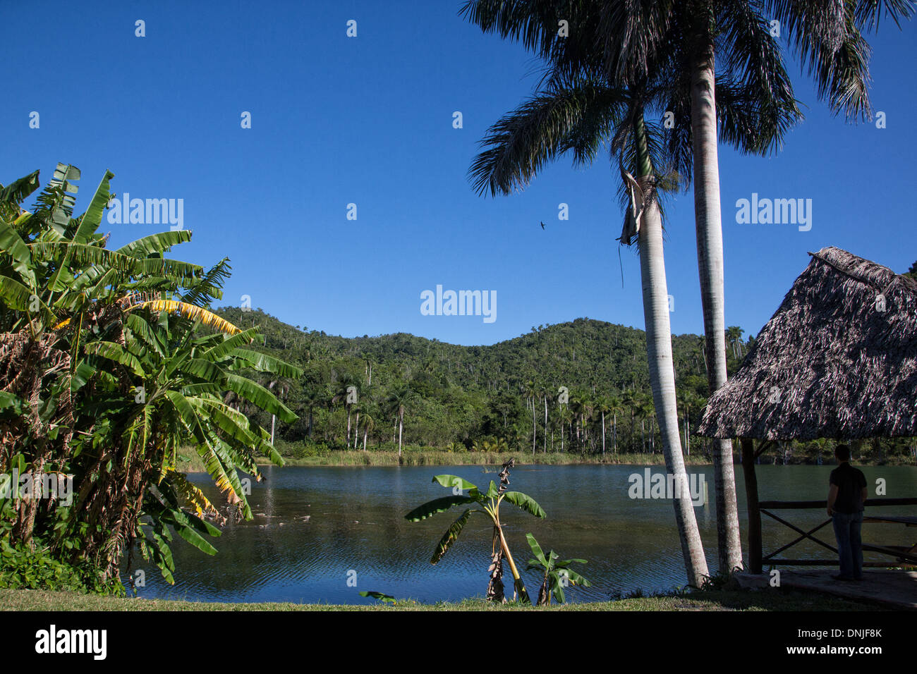 THE NATURAL LAKE OF THE ECOLOGICAL VILLAGE OF LAS TERRAZAS, BIOSPHERE ...