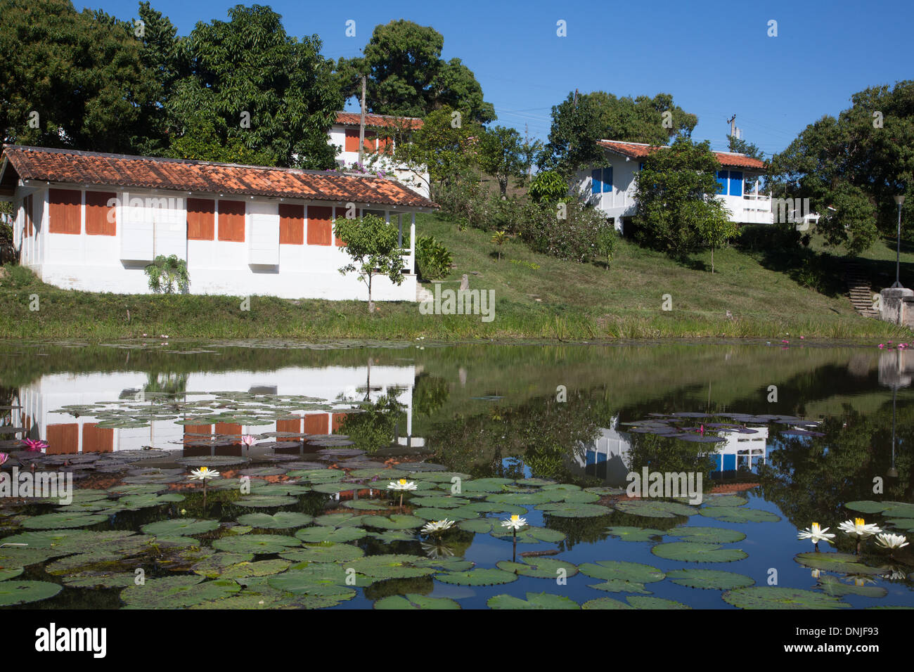 THE NATURAL LAKE OF THE ECOLOGICAL VILLAGE OF LAS TERRAZAS, BIOSPHERE ...