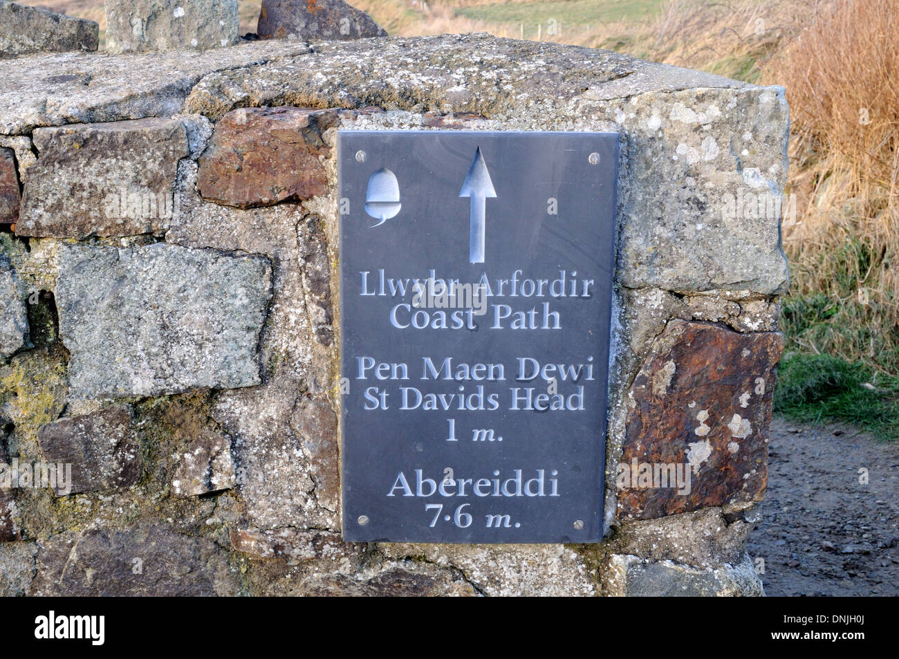 Welsh slate Coast Path sign from St Davids head to Abereiddi Whitesands ...