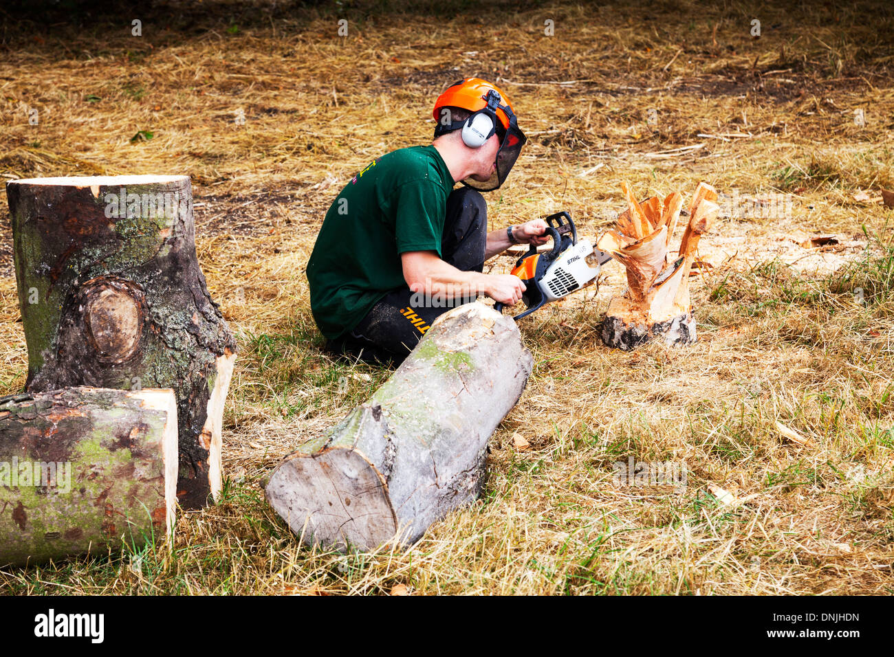 wood cutting competition with chainsaw Stock Photo - Alamy