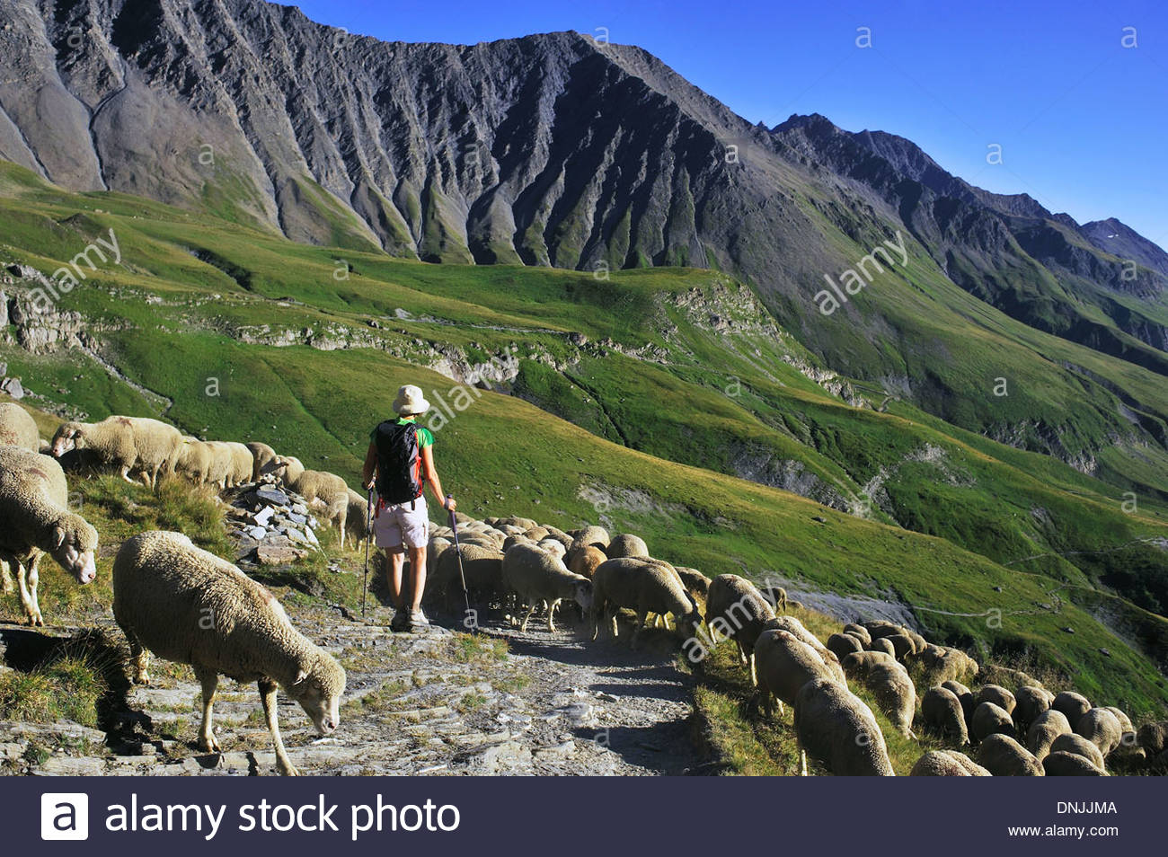 Col De La Seigne Stock Photos & Col De La Seigne Stock Images - Alamy