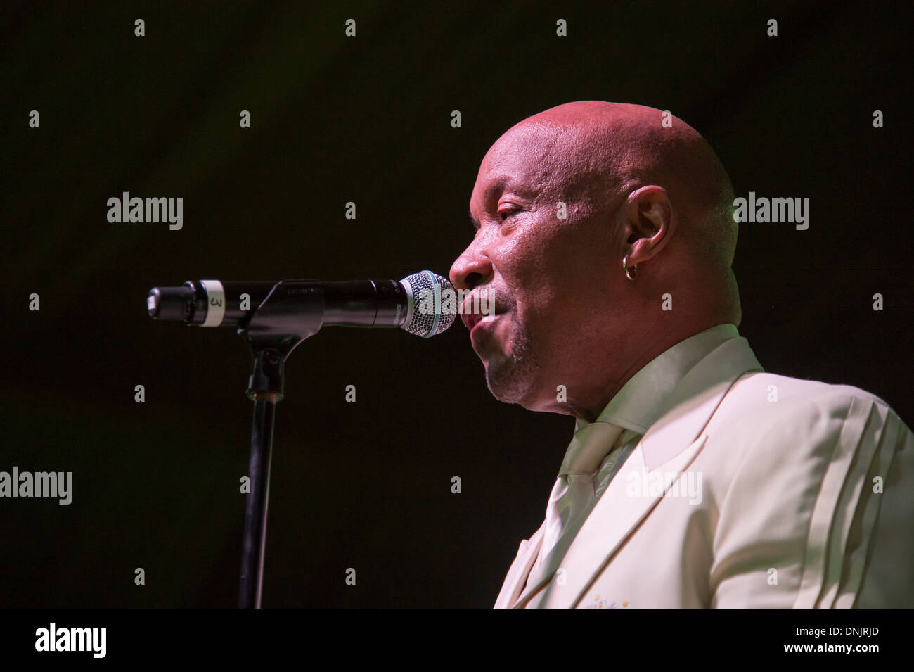 Leaveil hi-res stock photography and images - Alamy