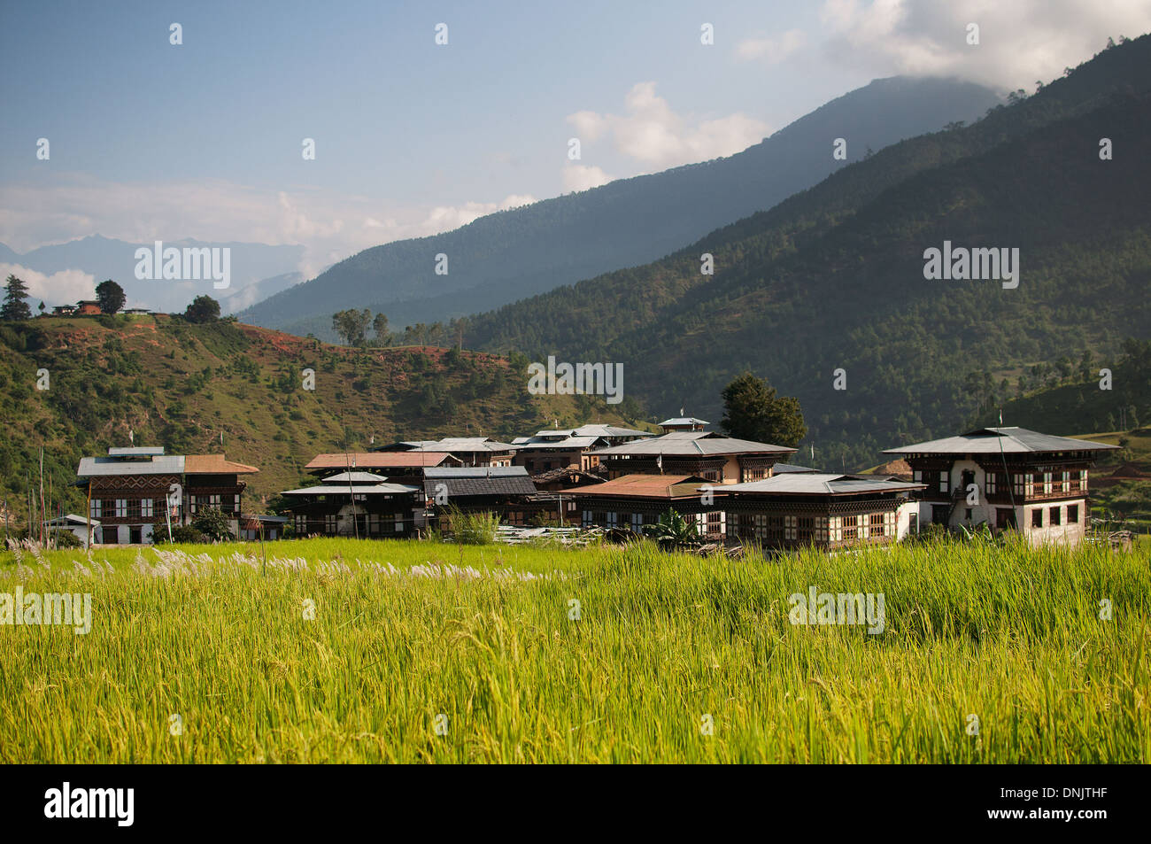 Chimi Lhakhang village in Bhutan Stock Photo - Alamy