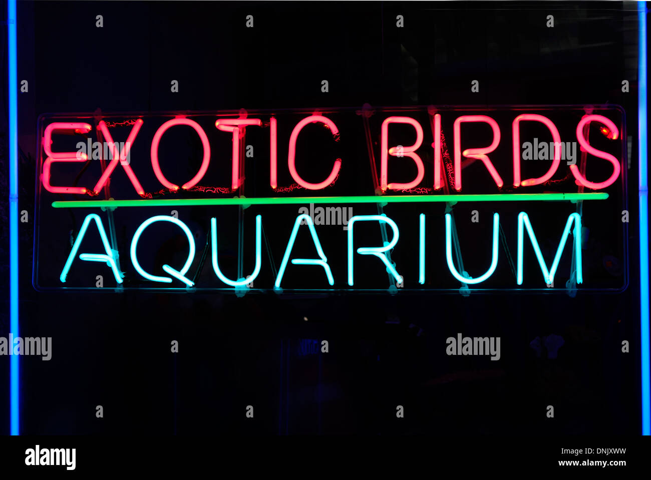 exotic birds aquarium neon sign Stock Photo - Alamy