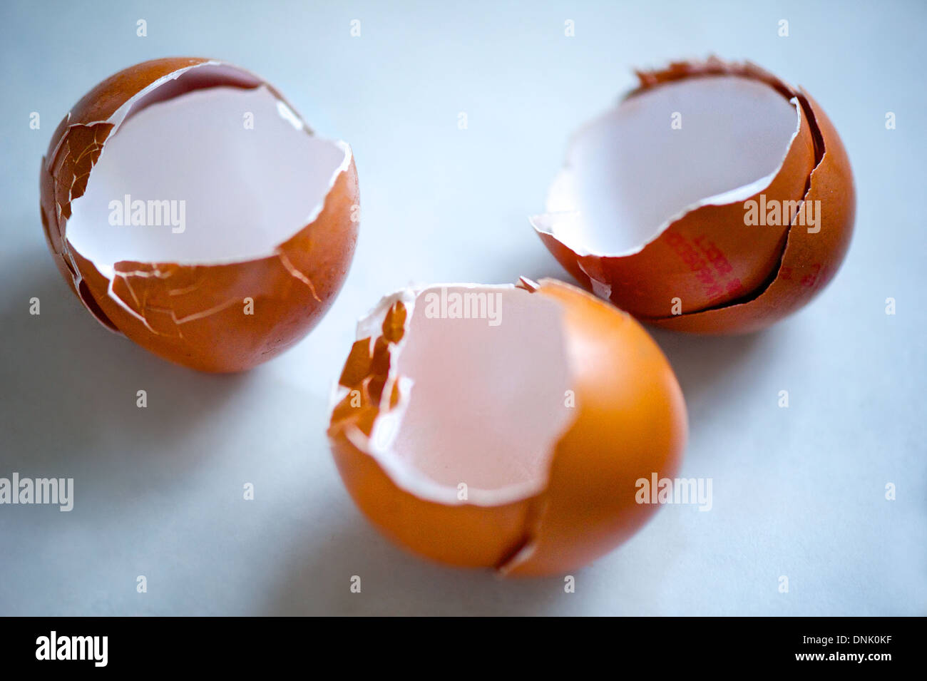 3 shells hi-res stock photography and images - Alamy