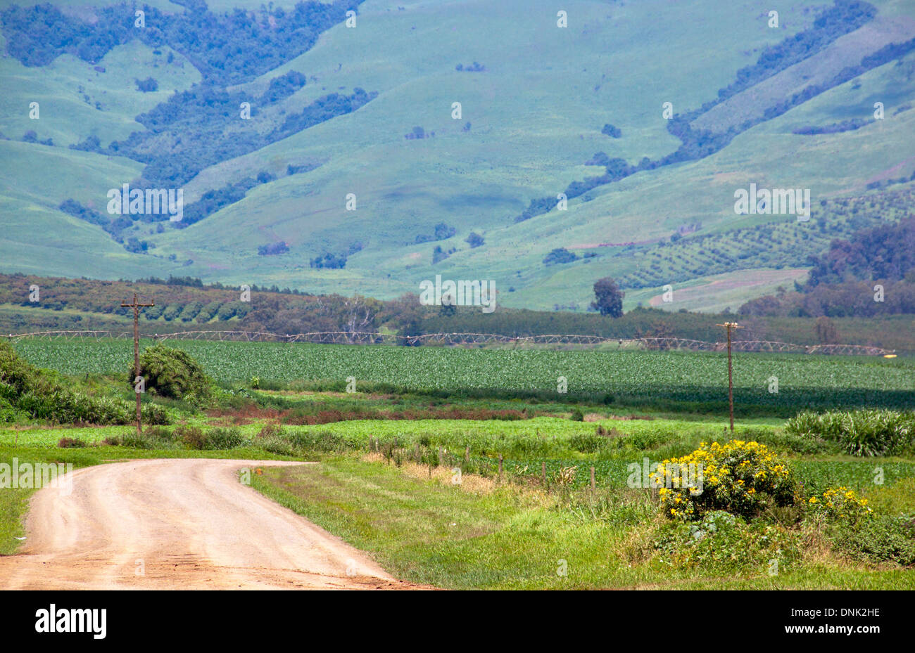 Winding farm road irrigation hi-res stock photography and images - Alamy