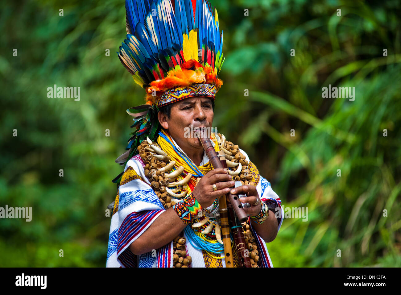 A shaman from the Kamentsá tribe, wearing a colorful feather headgear ...