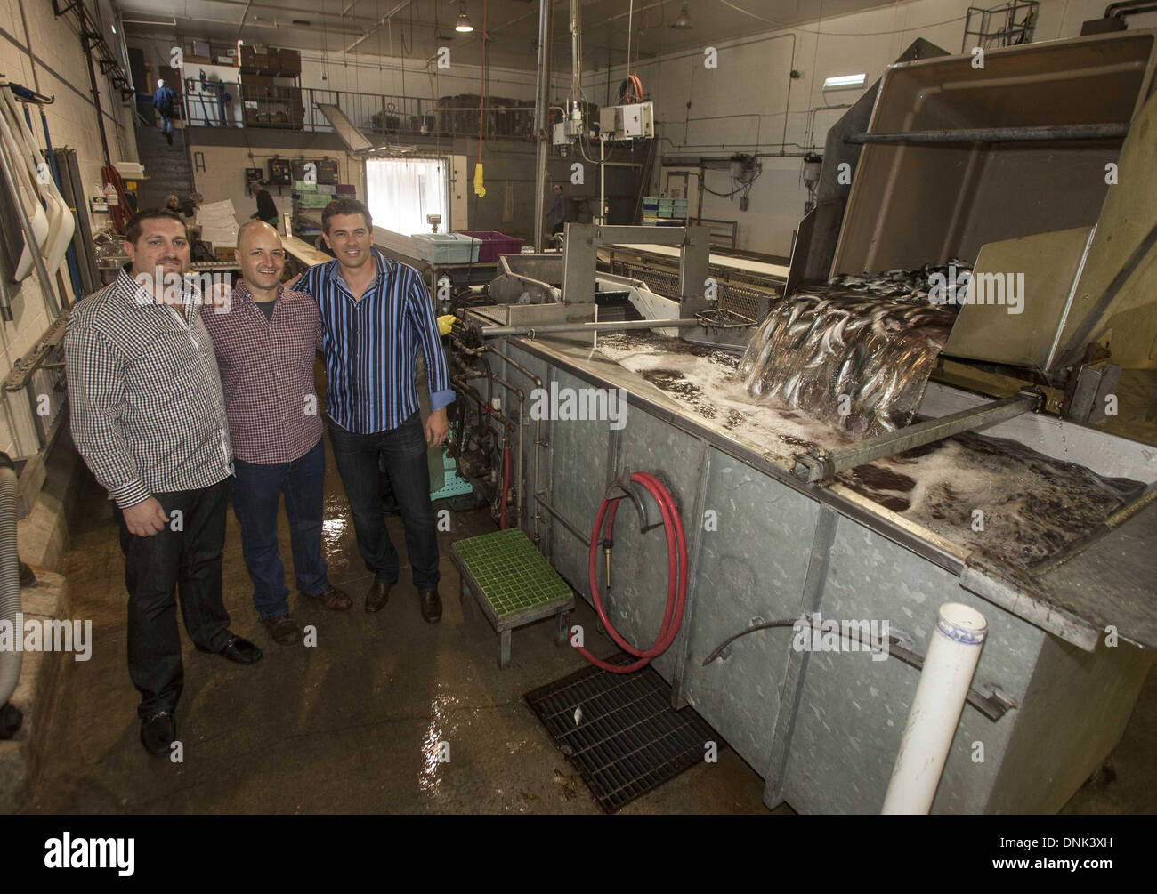 Los Angeles, California, USA. 13th Nov, 2013. Chris Iorillo, center ...