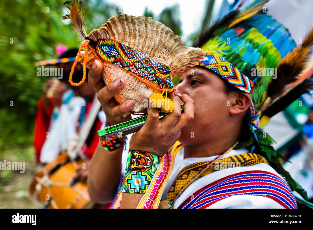 A native from the Kamentsá tribe, wearing a headgear, plays pututo ...