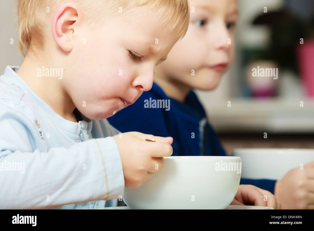 Two blond brothers boys kids children eating corn flakes breakfast ...