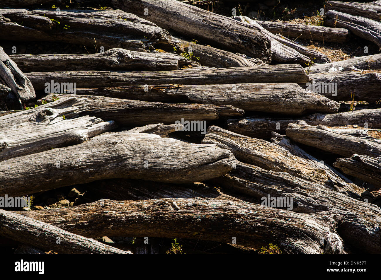 Short sands beach hi-res stock photography and images - Alamy
