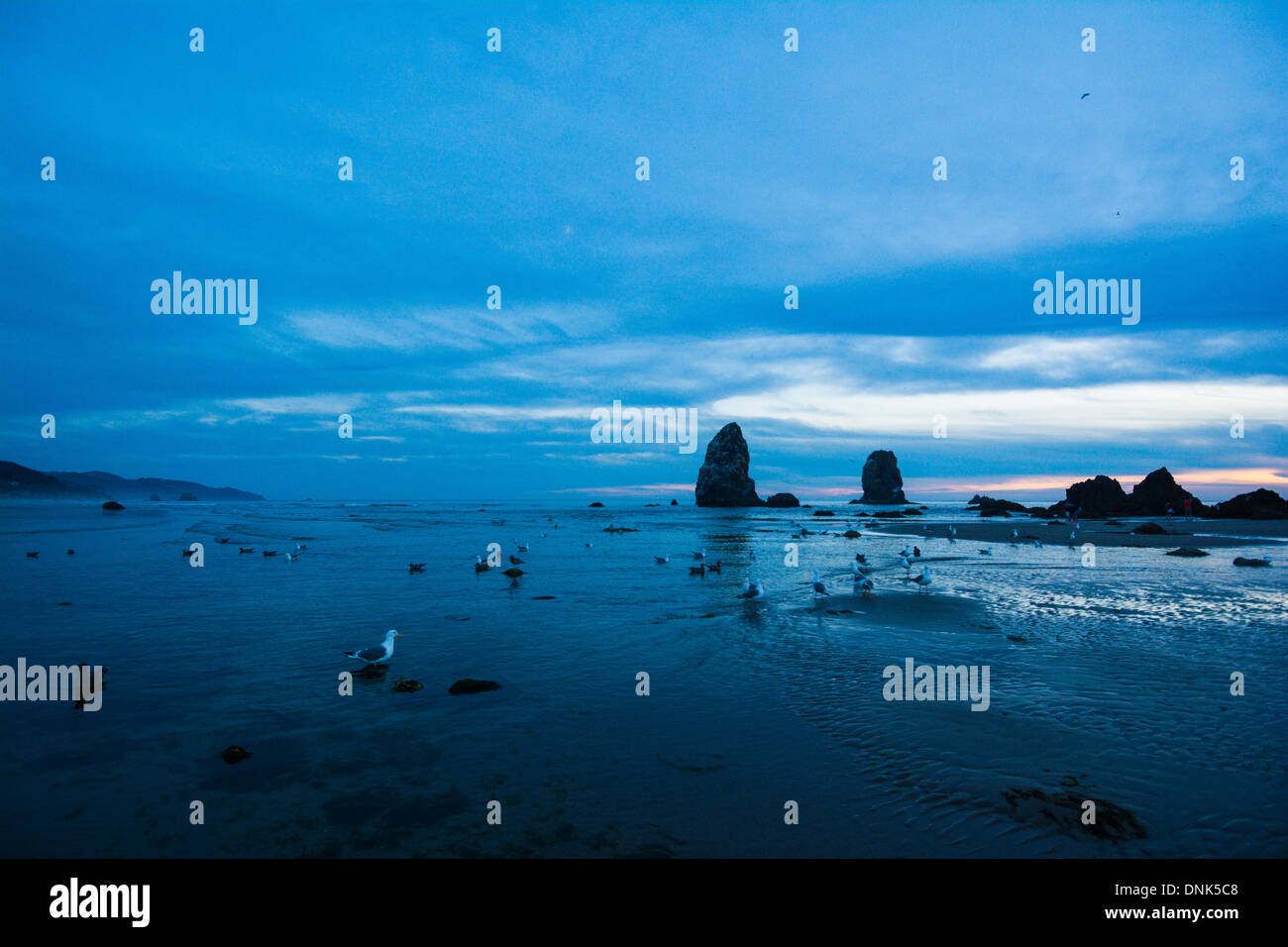 The Needles, Cannon Beach, Oregon, USA Stock Photo - Alamy
