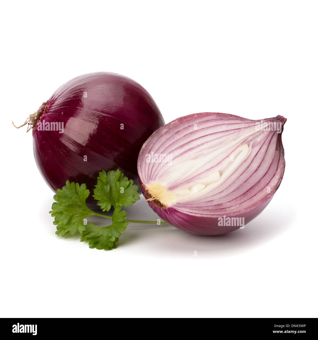 Red sliced onion and fresh parsley still life isolated on white ...