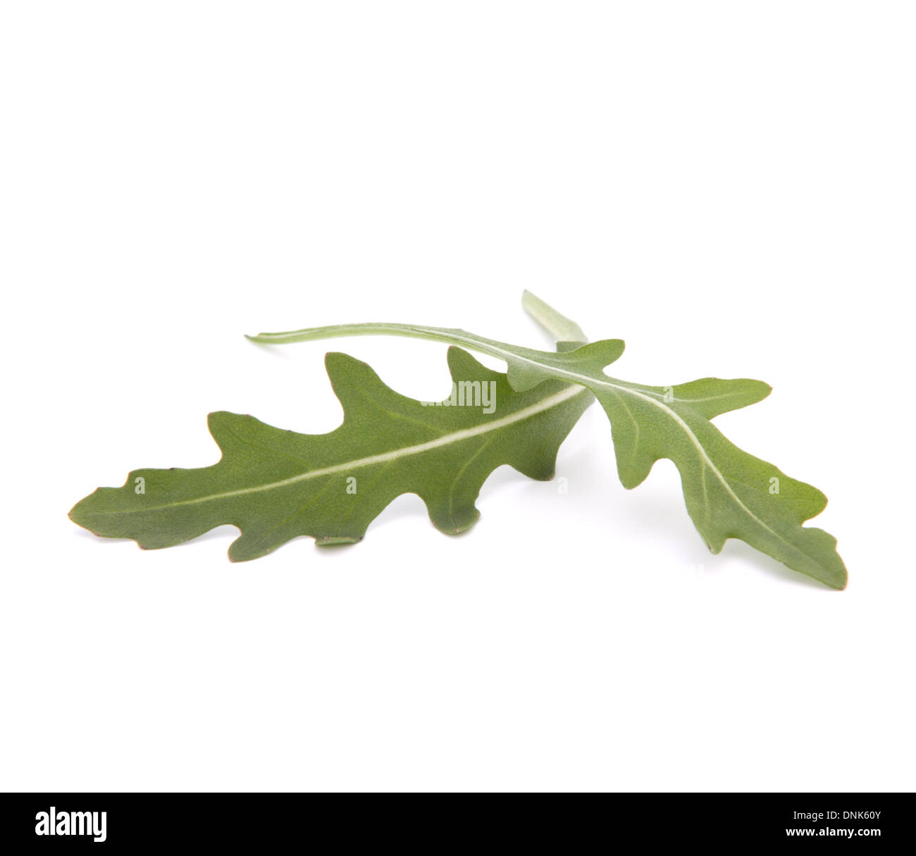 Sweet rucola salad or rocket lettuce leaves isolated on white ...
