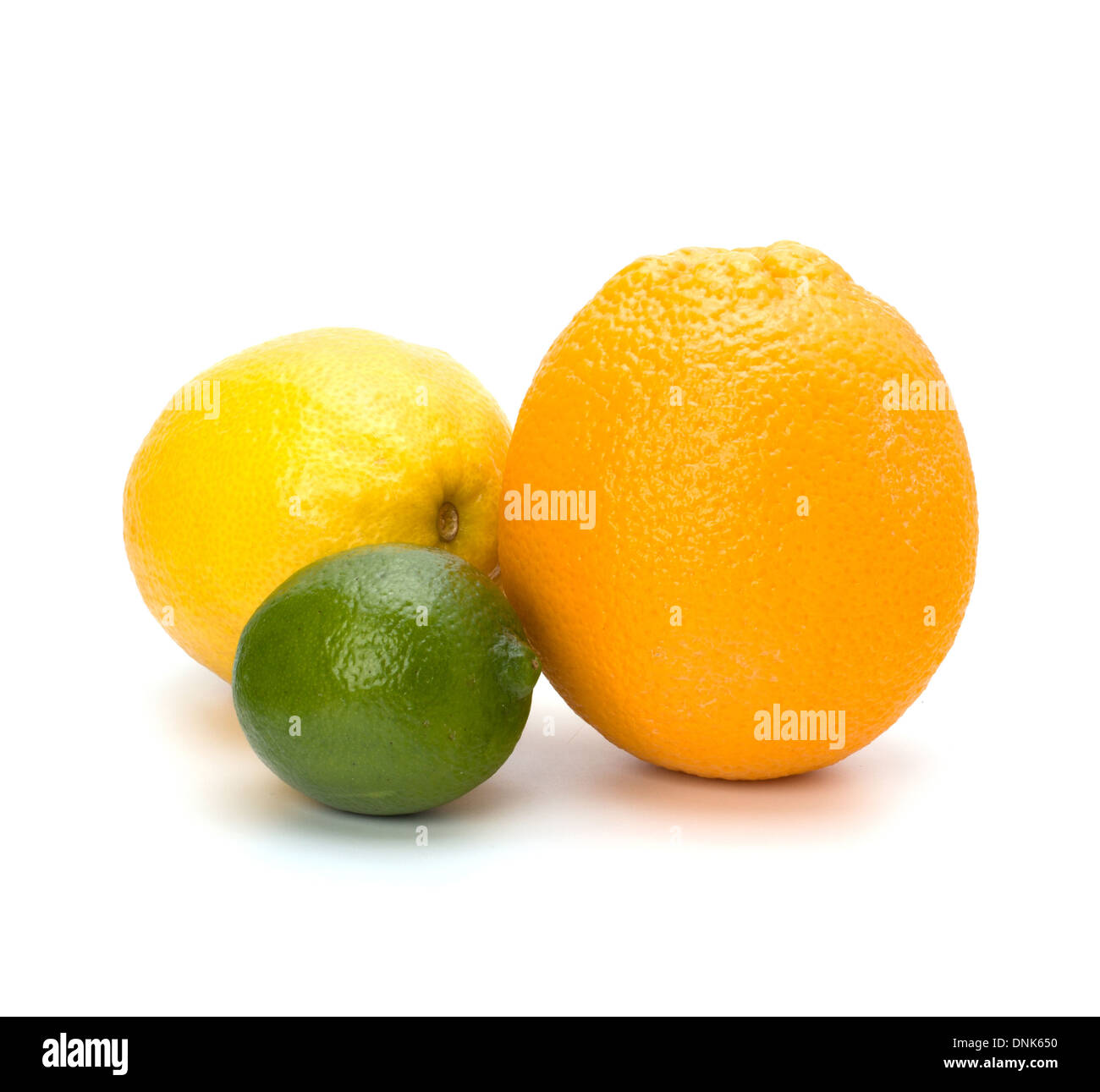 Citrus fruits isolated on white background Stock Photo - Alamy