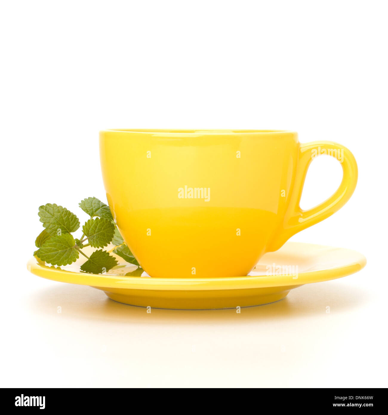 Herbal peppermint tea cup isolated on white background. Alternative ...