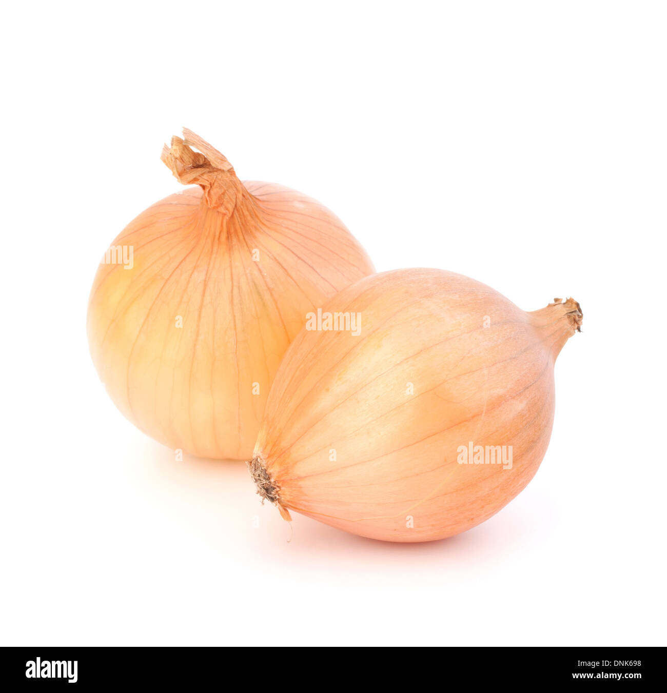 Onion isolated on white background Stock Photo - Alamy