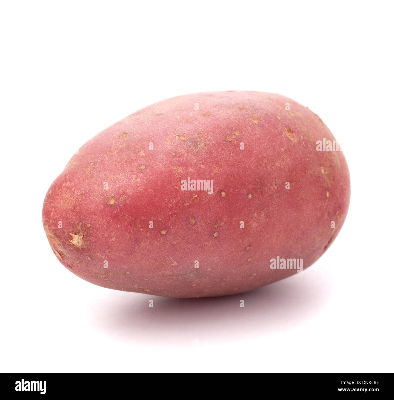 New potato tuber isolated on white background cutout Stock Photo - Alamy