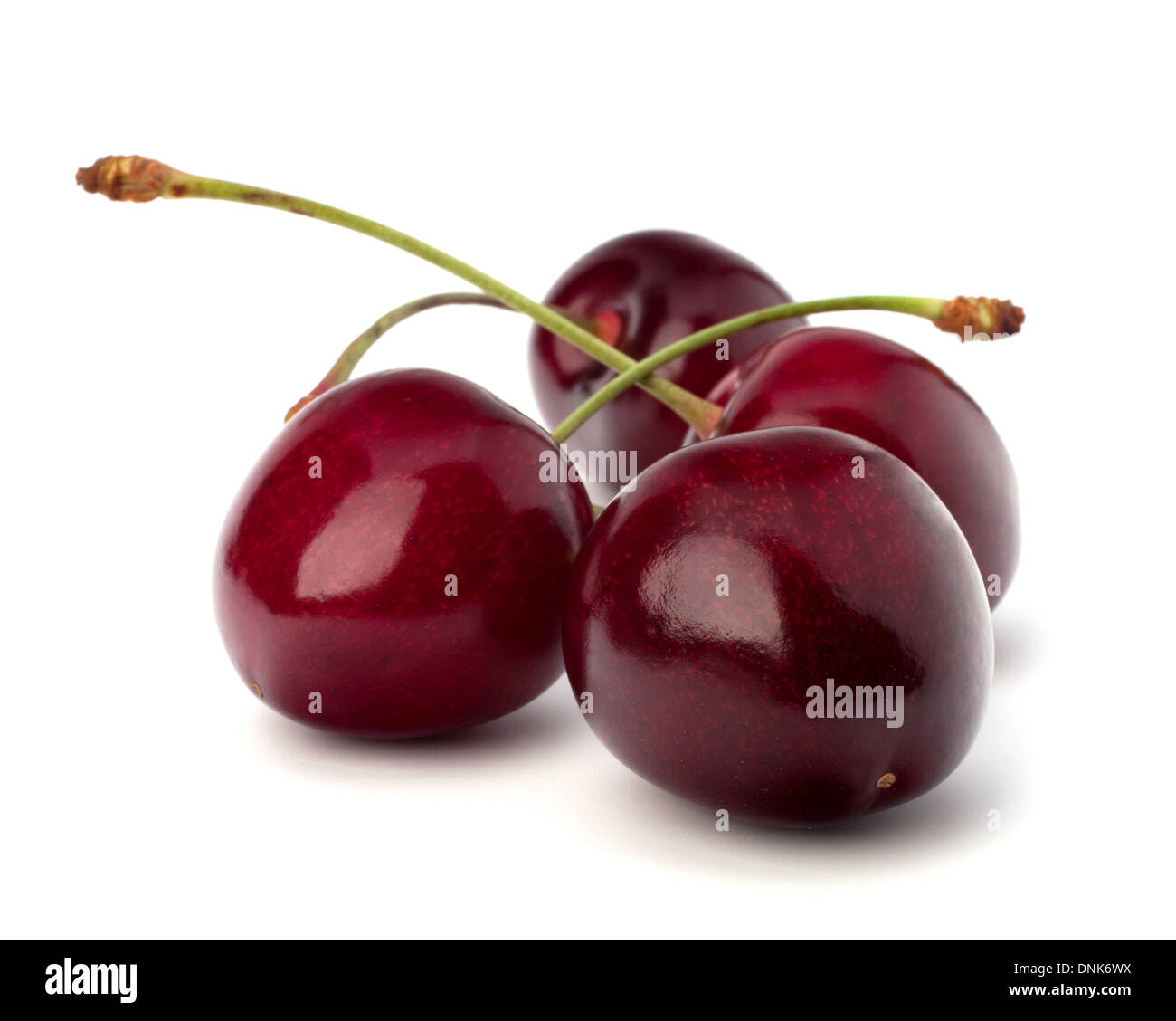 Cherry isolated on white background Stock Photo - Alamy