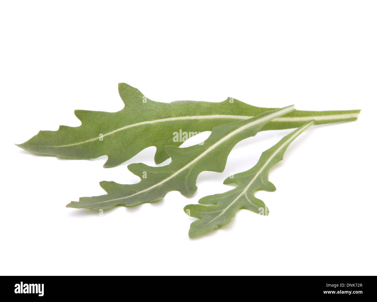 Sweet rucola salad or rocket lettuce leaves isolated on white ...