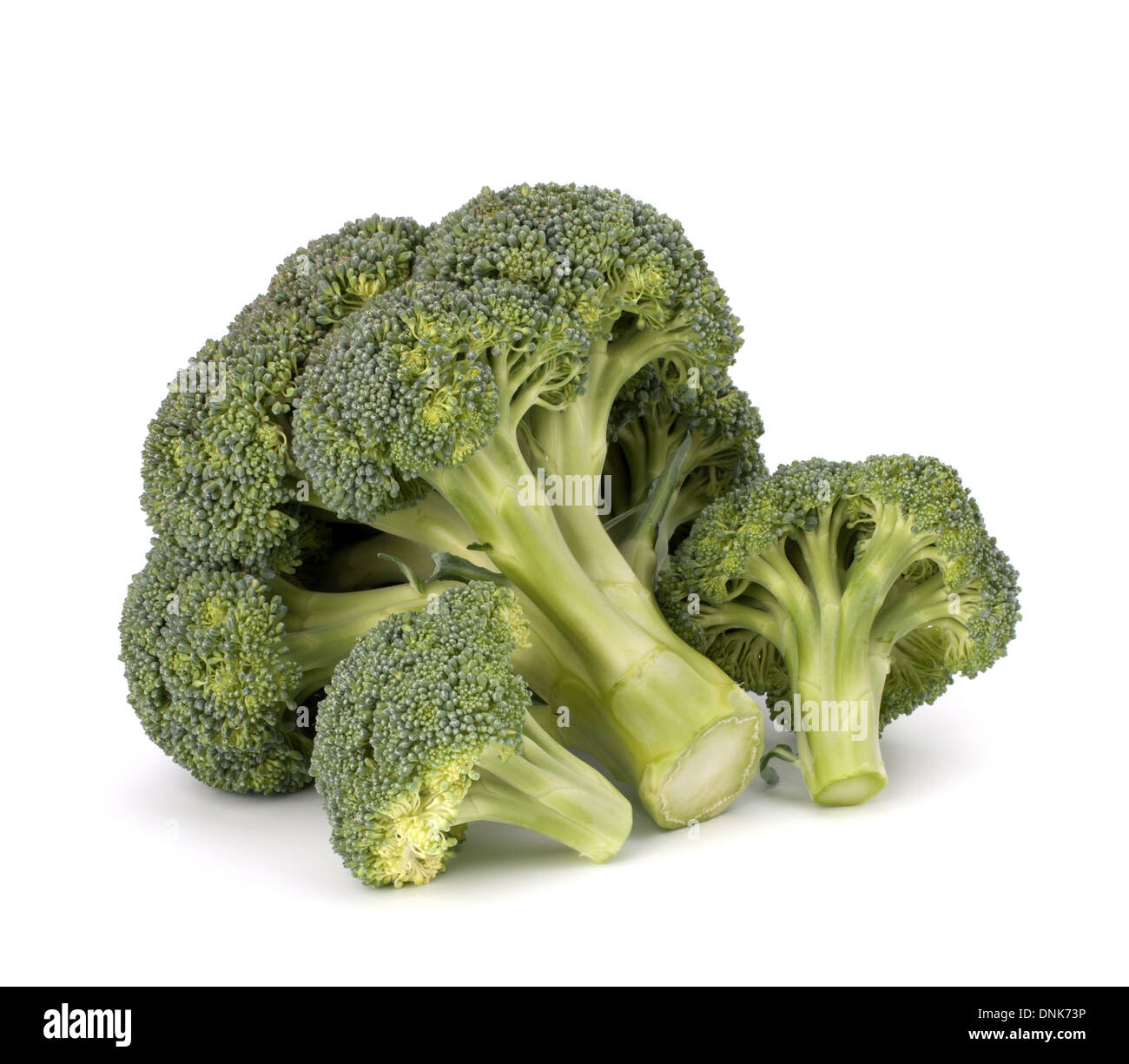 Broccoli vegetable isolated on white background Stock Photo - Alamy