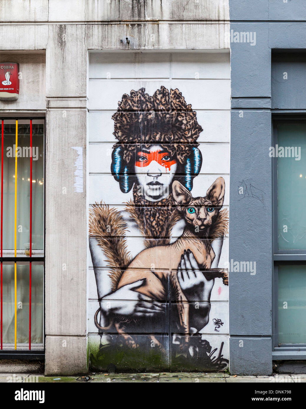 Hairless cat hi-res stock photography and images - Alamy