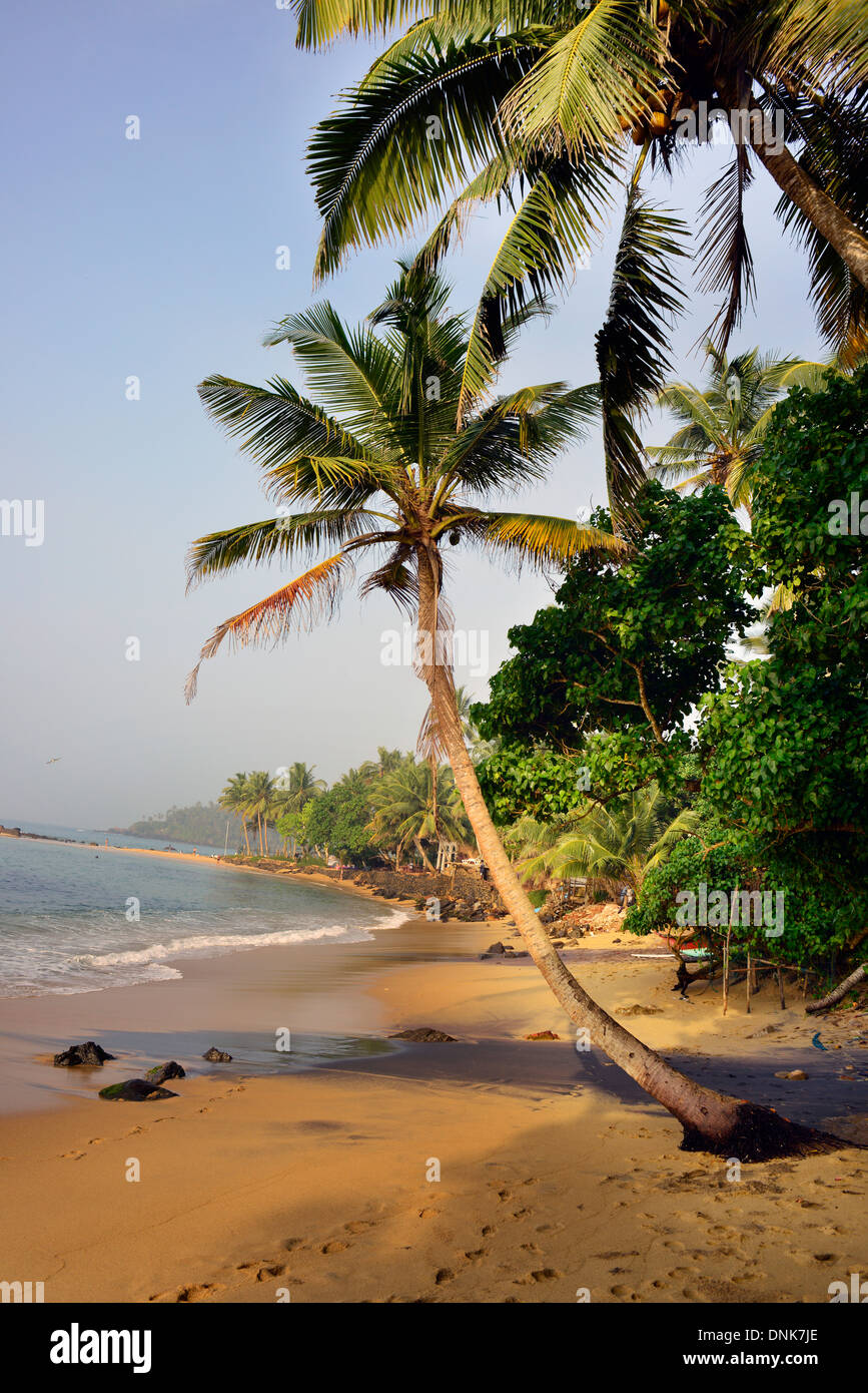 Mirissa beach, Sri Lanka Stock Photo - Alamy