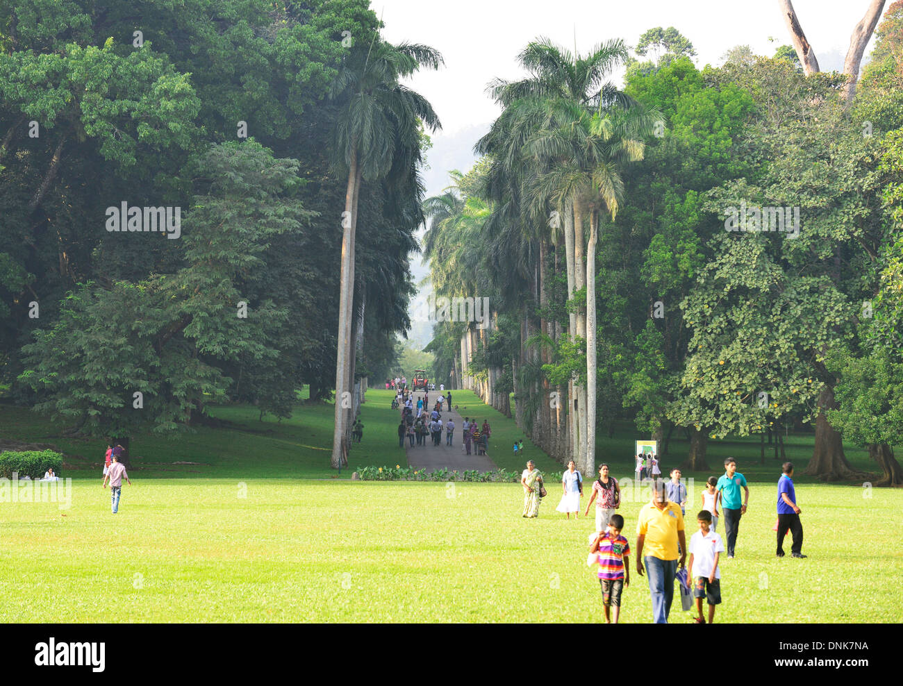 Kandy sri lanka national park hi-res stock photography and images - Alamy