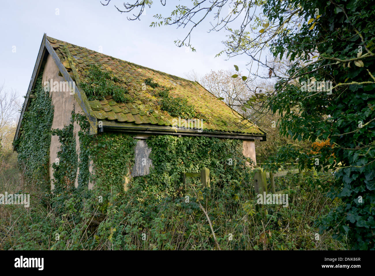 Overgrown building hi-res stock photography and images - Alamy