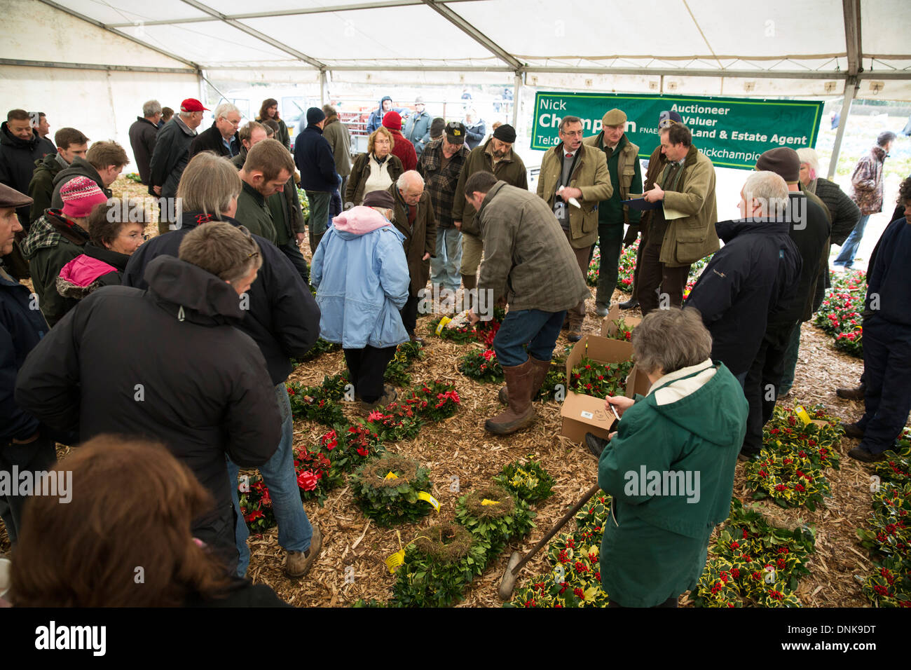 The annual mistletoe and holly auction in Tenbury, Shropshire. Pictured ...