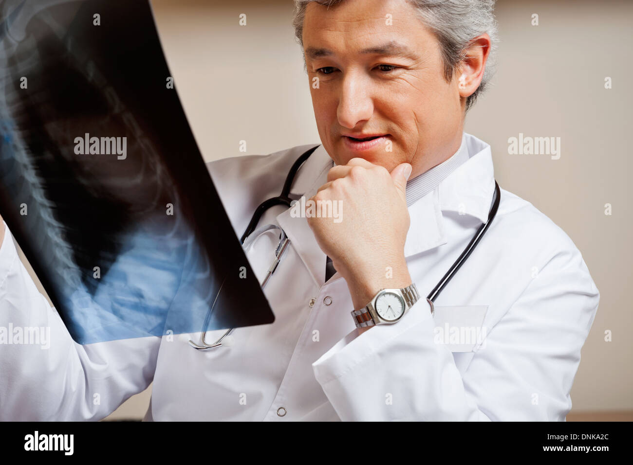 Radiologist Studying X-ray Stock Photo - Alamy