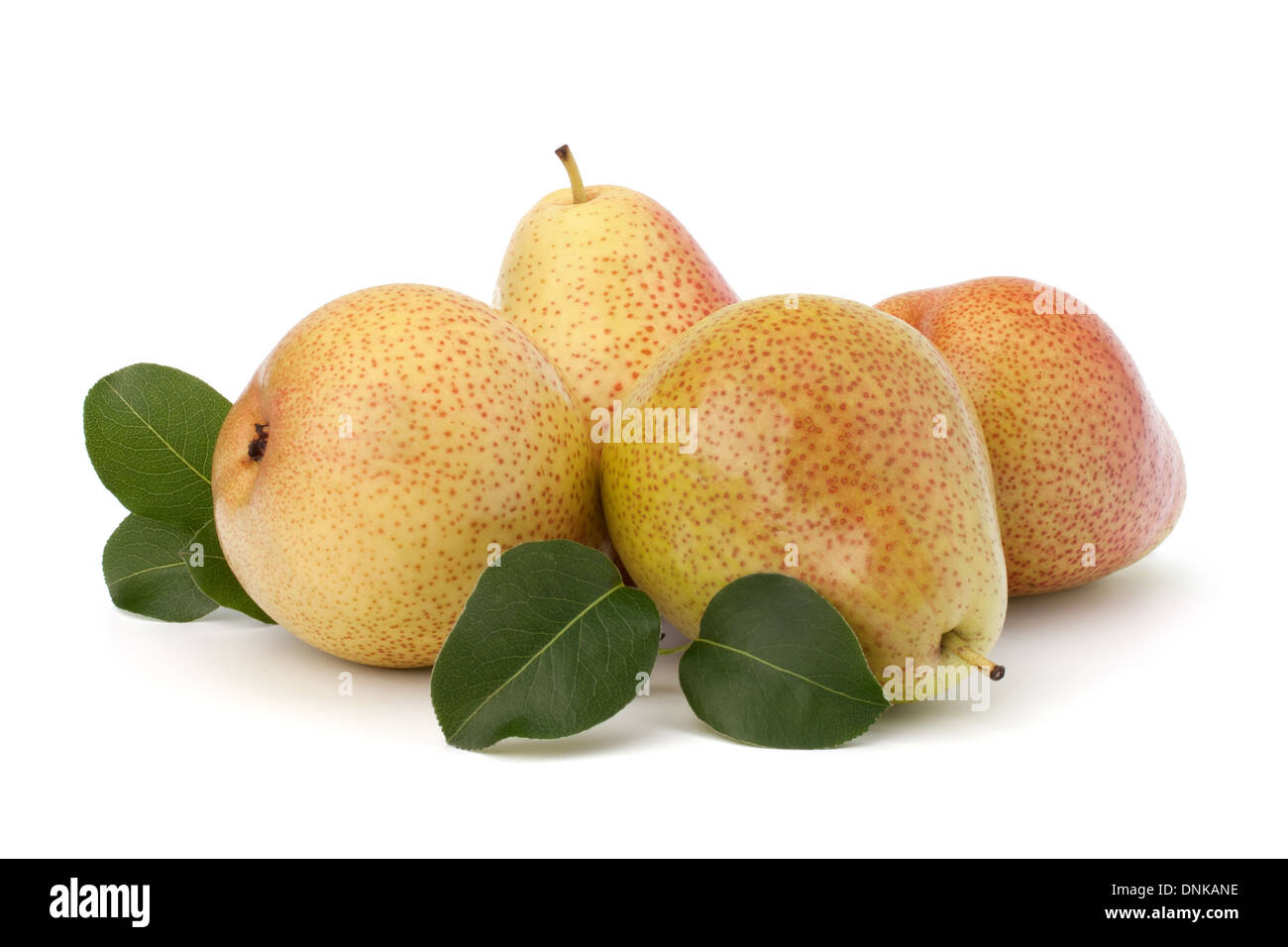 Pear fruits isolated on white background Stock Photo - Alamy