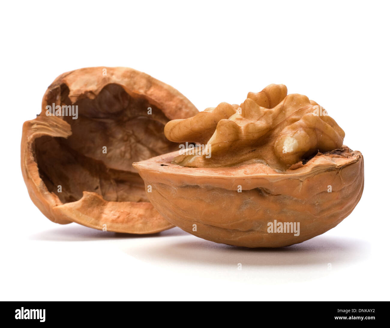 Circassian walnut isolated on white background Stock Photo - Alamy