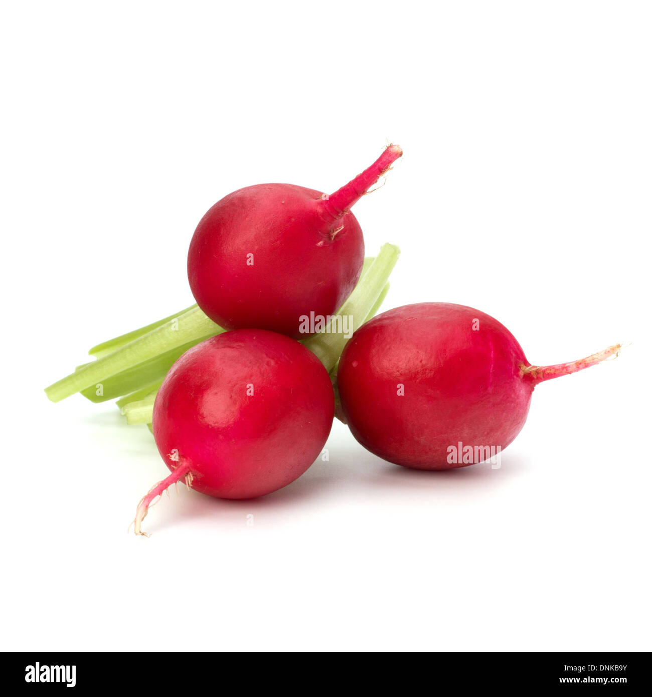 Small garden radish isolated on white background Stock Photo - Alamy