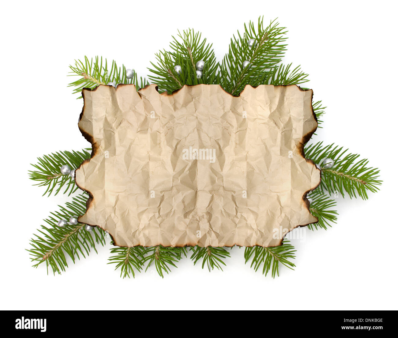Old parchment paper with copy space on Christmas tree branch background ...