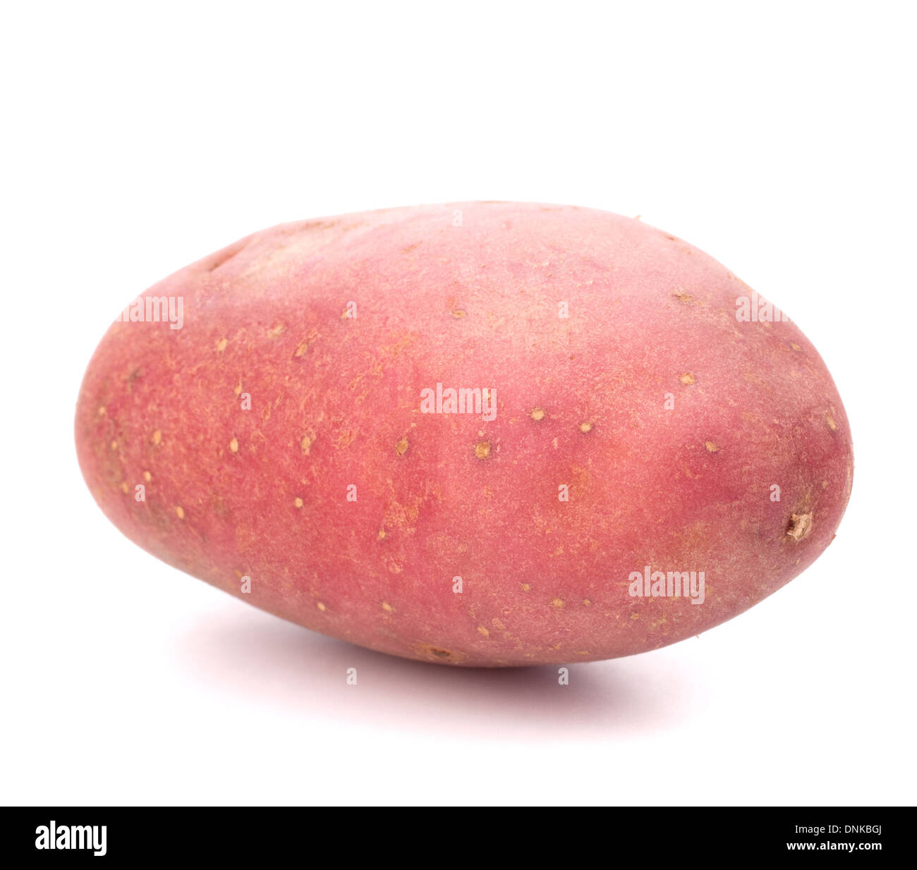 New potato tuber isolated on white background cutout Stock Photo - Alamy