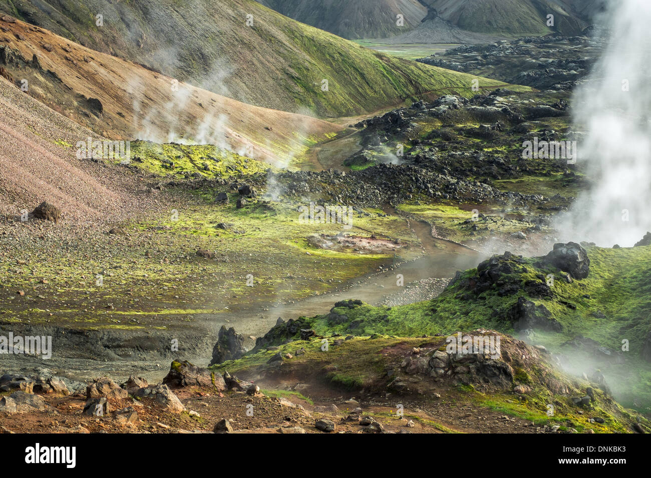 An active geothermal area with multiple steam vents, Landmannalaugar ...